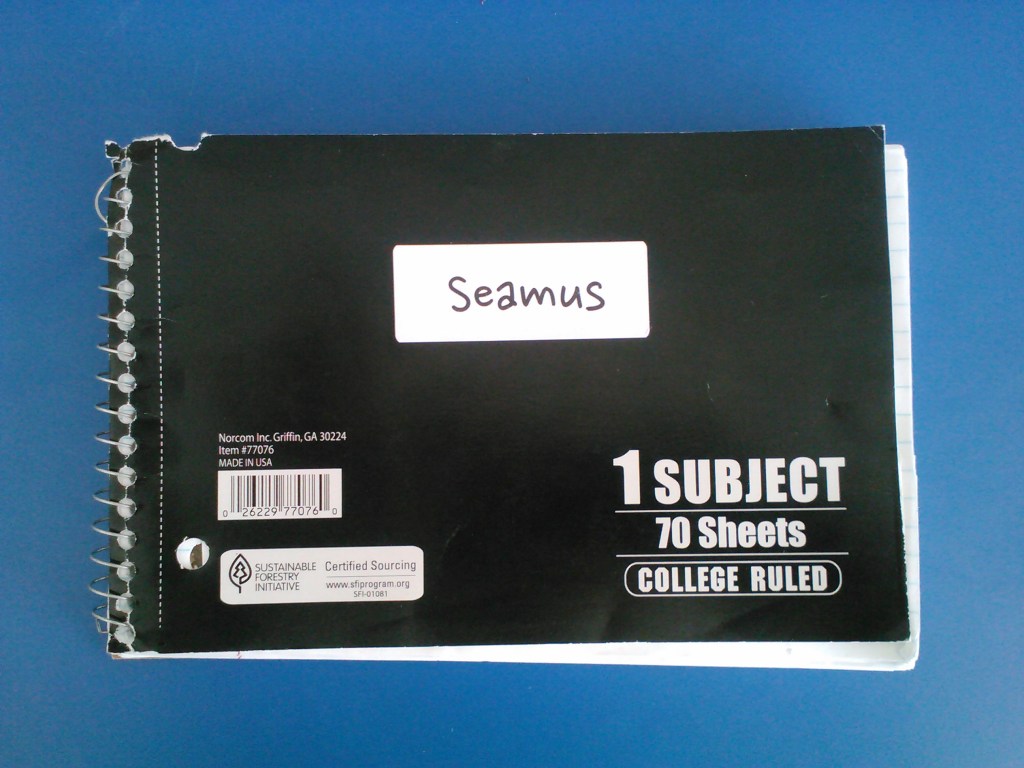 Put Your Cub in the Den | 20somethingkids and 1kookyteacher